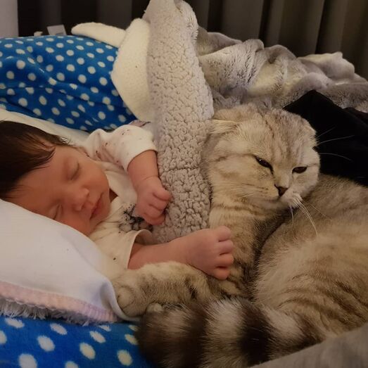 José Sá e Raquel Jacob levam filha bebé, de apenas 1 mês, ao jogo do FC ...