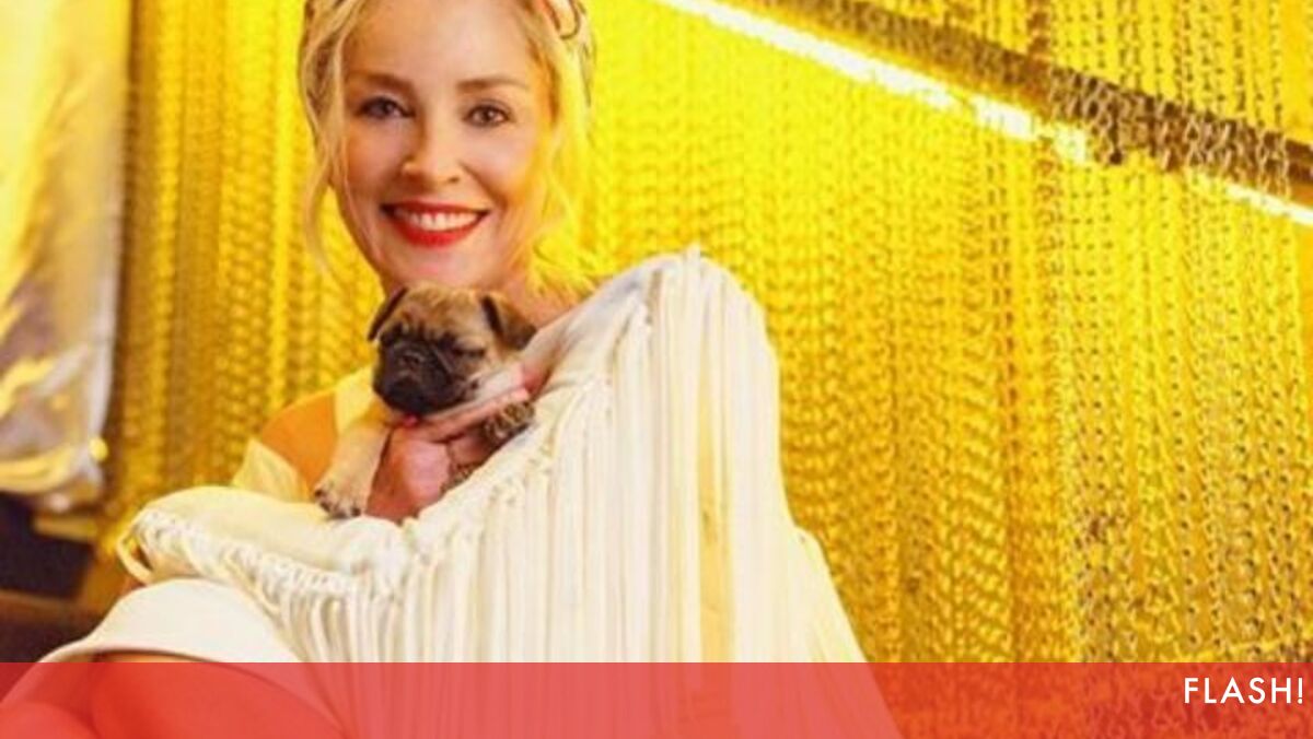 Ruben Rua passeia com a sua nova musa por Portugal: Kim Nader - FlashTv ...