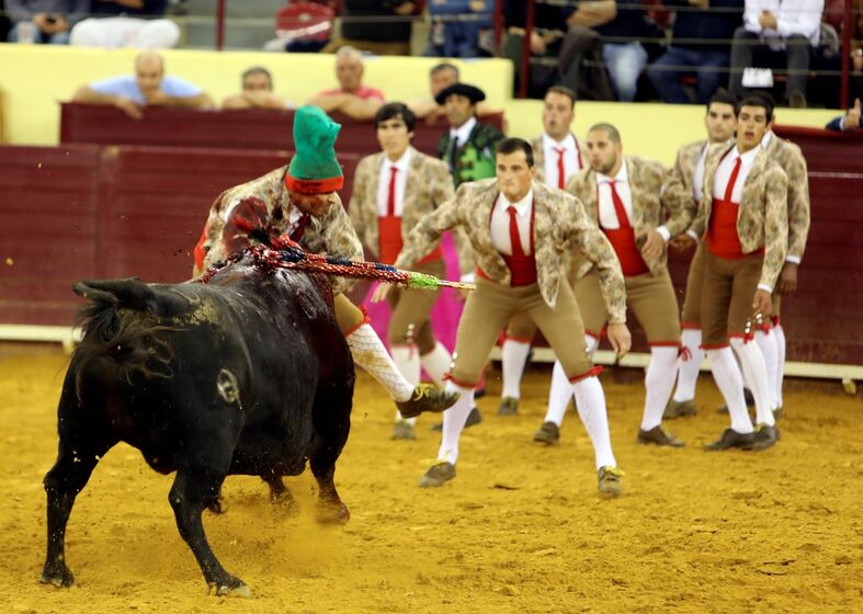 Tourada. Famosos divertem-se em noite de glória no Campo Pequeno ...