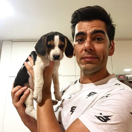 Saiba porque é que Pedro Fernandes pode ser obrigado a deixar as manhãs ...