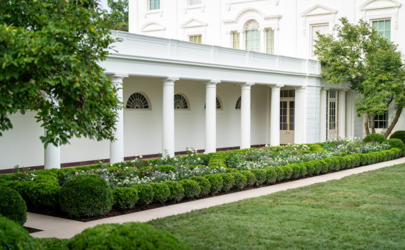 Melania Trump ridicularizada após renovar jardim da Casa Branca ... Melania Trump ridicularizada após renovar jardim da Casa Branca ...