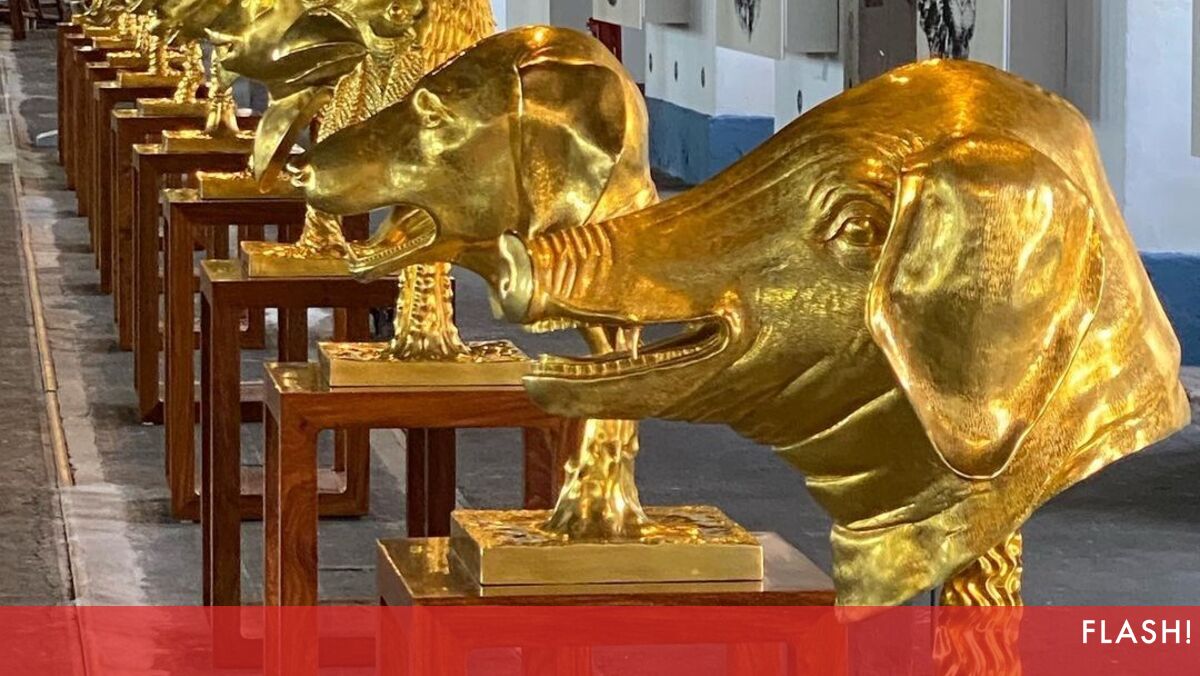 'Rapture', exibição do icónico Ai Weiwei, inaugurada esta sexta-feira ...