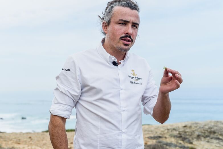 Como o chef Gil Fernandes transforma as delícias do mar e das dunas em ...