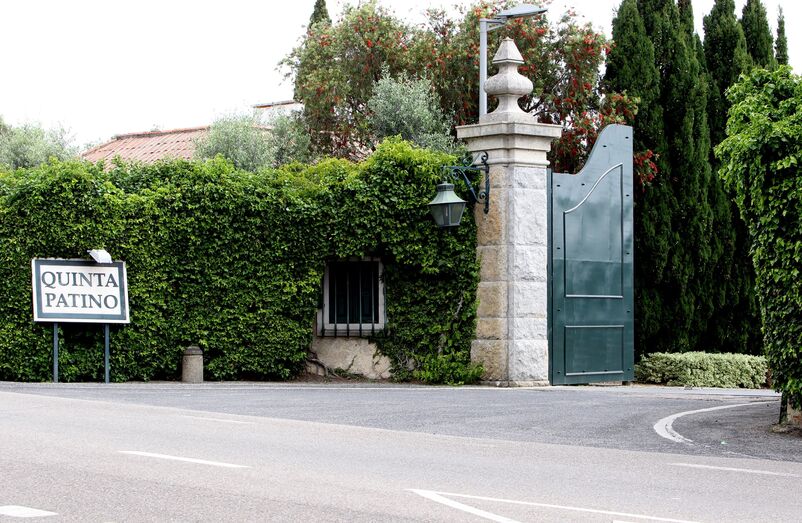 João Rendeiro. A fantástica história de Maria de Jesus Matos, a esposa ...