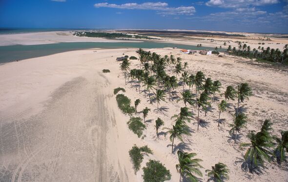 Afinal a mulher de Rendeiro queria sair de Portugal! Toda a história ...