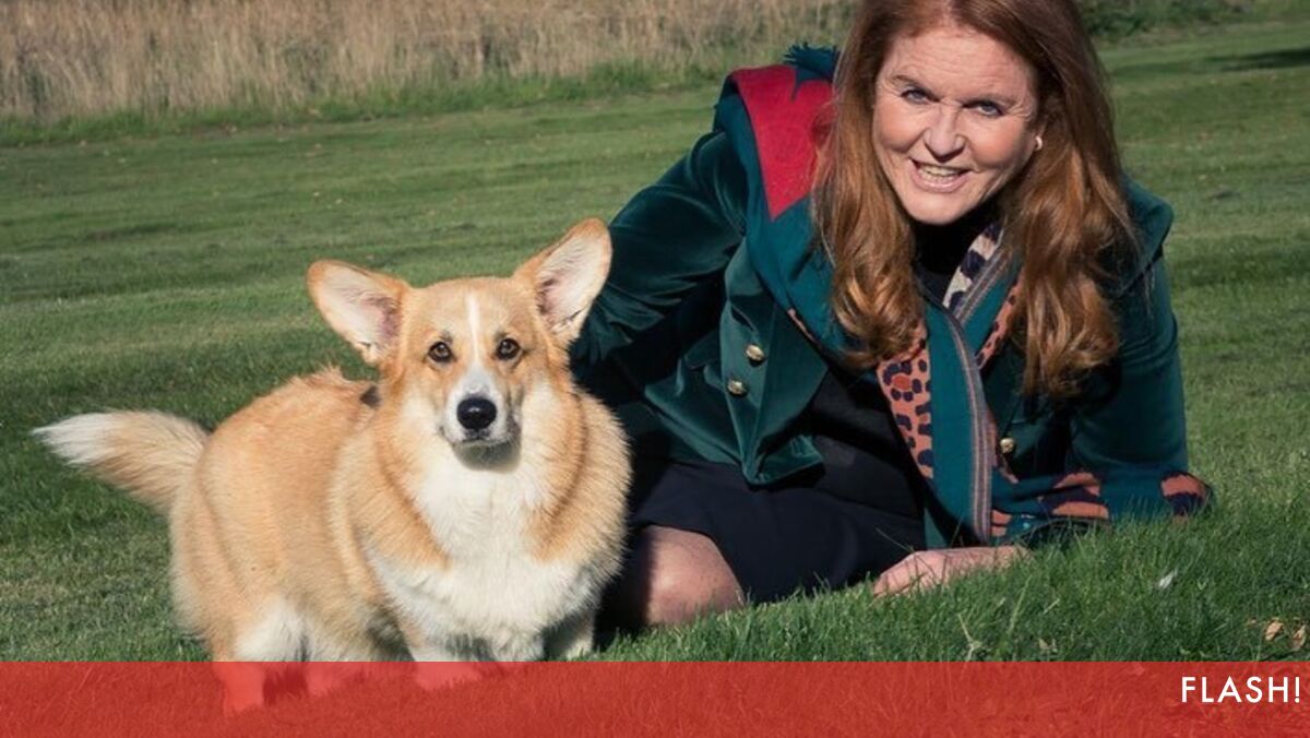 Sarah Ferguson revela momentos únicos com os corgis da rainha Isabel II ...