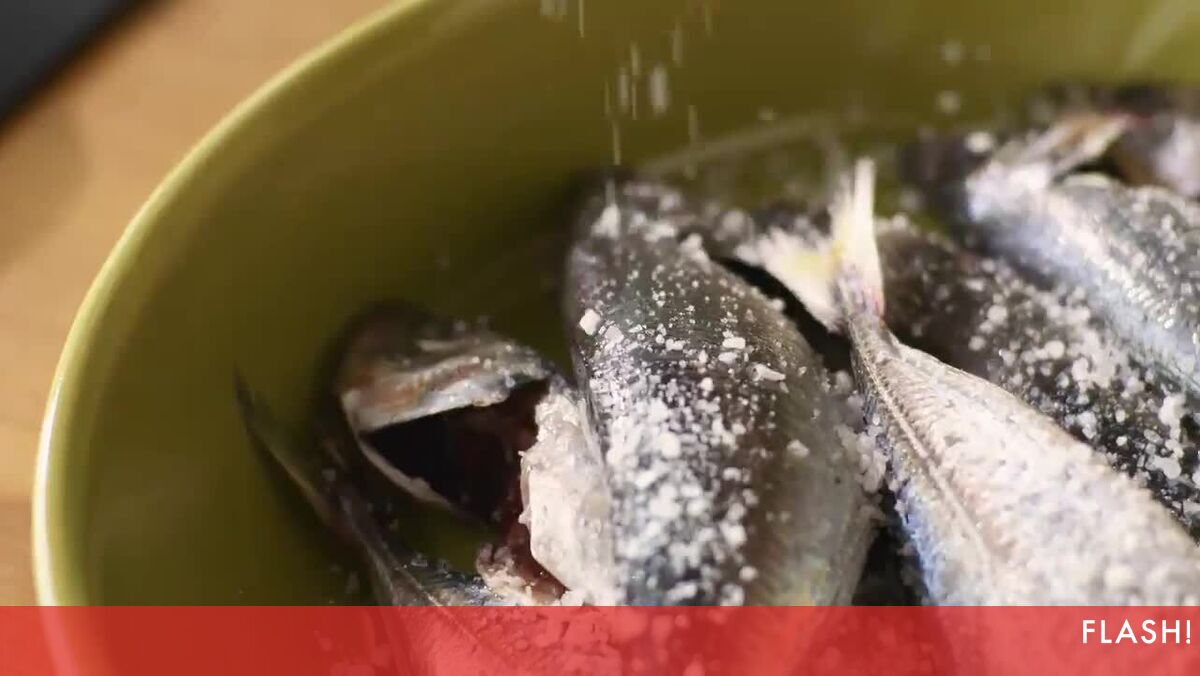 Carapaus com molho à espanhola: um clássico delicioso e que é tão fácil de fazer - FlashTv - FLASH!