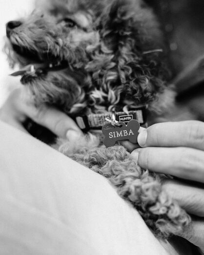 A coisa está séria: Francisca Cerqueira Gomes e Pierre Gasly dão as ...