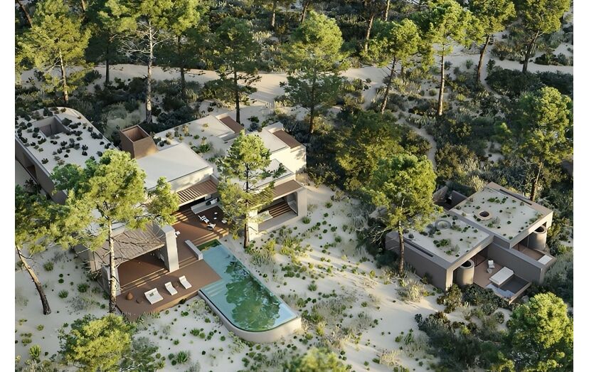 Patrão fora, dia santo na 'loja'! Que zaragata foi esta no bar do ...